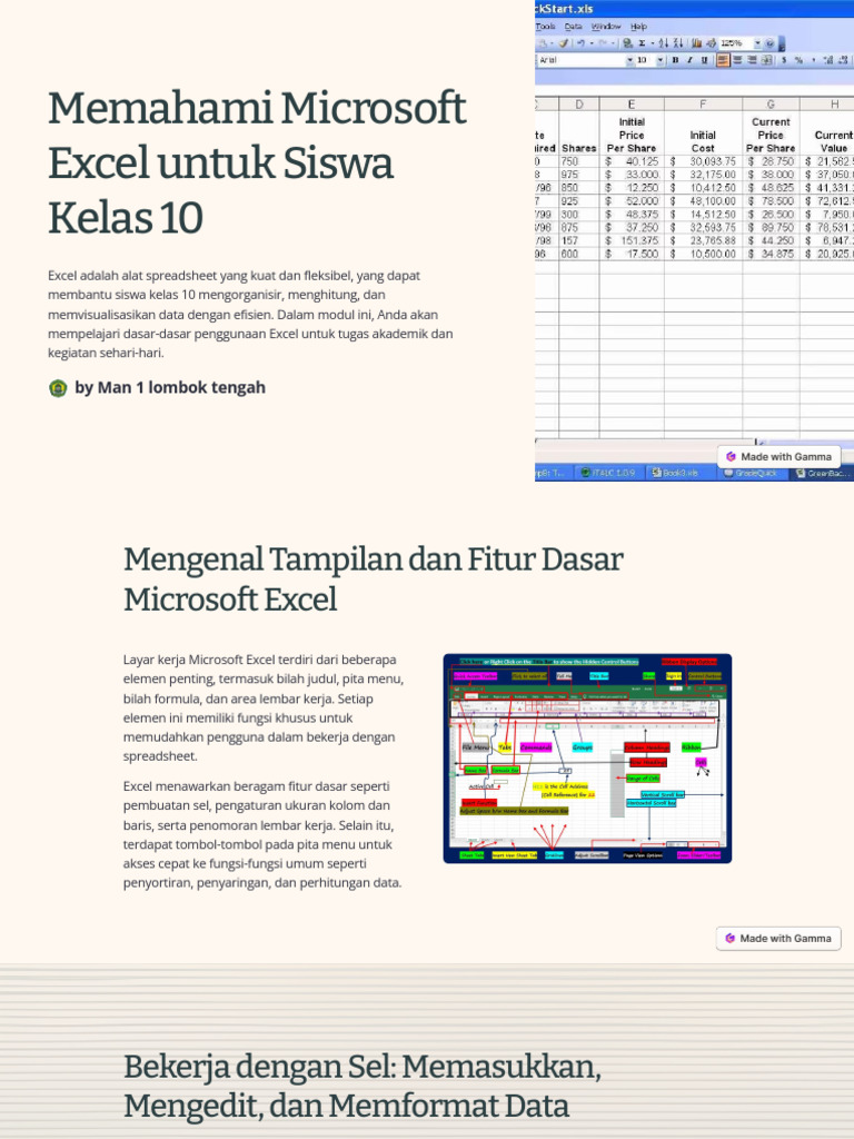 Panduan Excel Kelas 10: Dasar hingga Lanjutan | PDF | Komputer