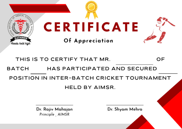 Cricket Participation Certificate | PDF