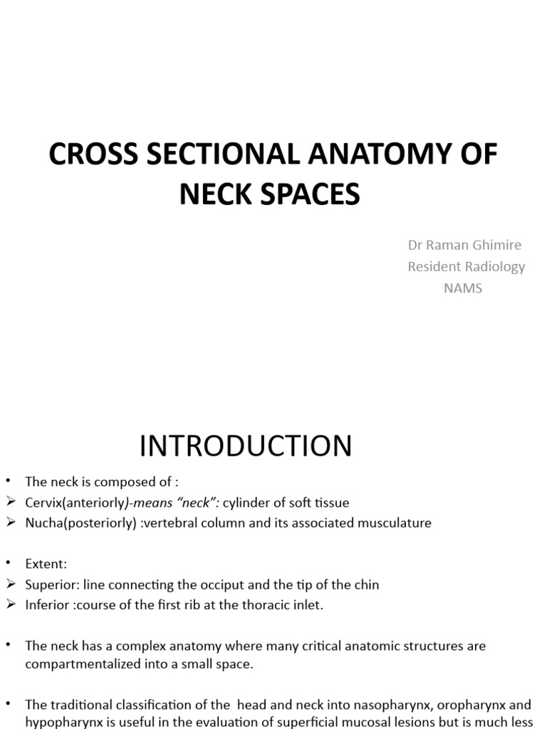 Anatomy Space Cross Section | PDF | Neck | Vertebra