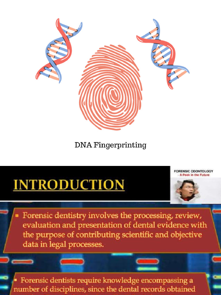 Fingerprint in Forensics | PDF
