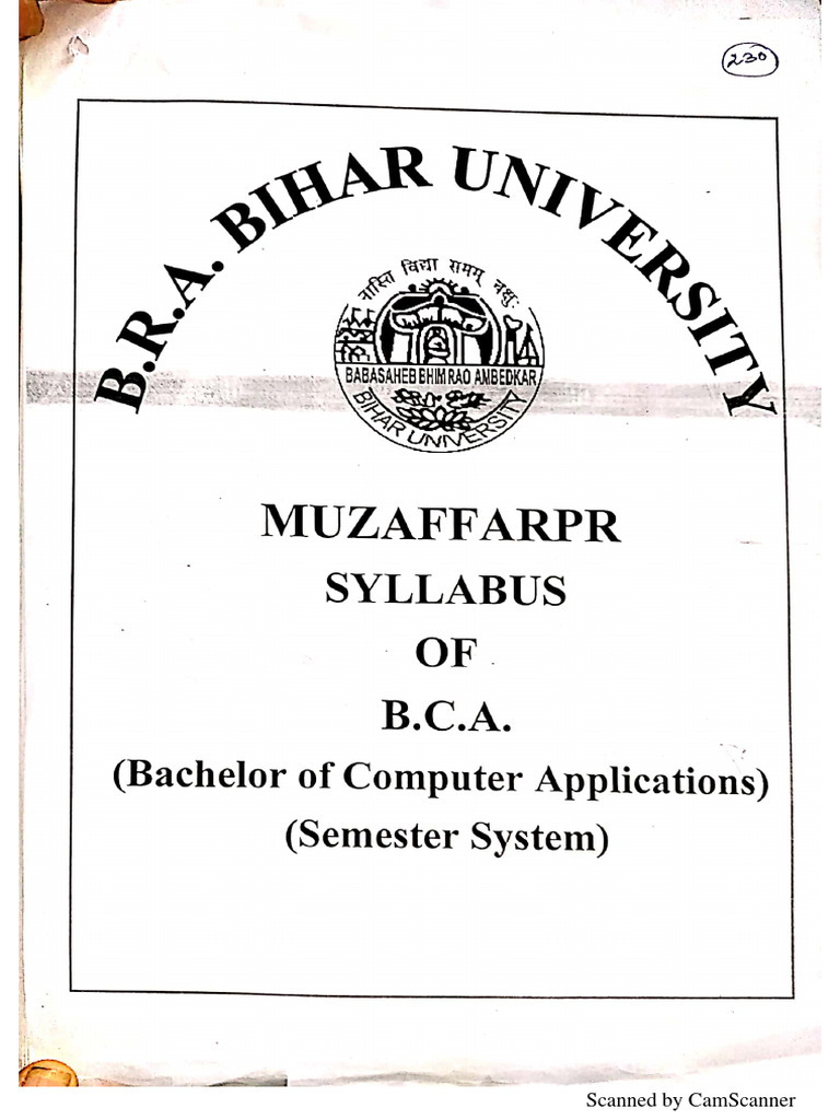 BCA Syllabus Semester System 1 | PDF