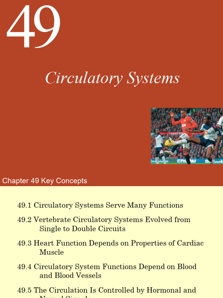 Circulatory System Overview and Functions | PDF | Heart Valve | Heart