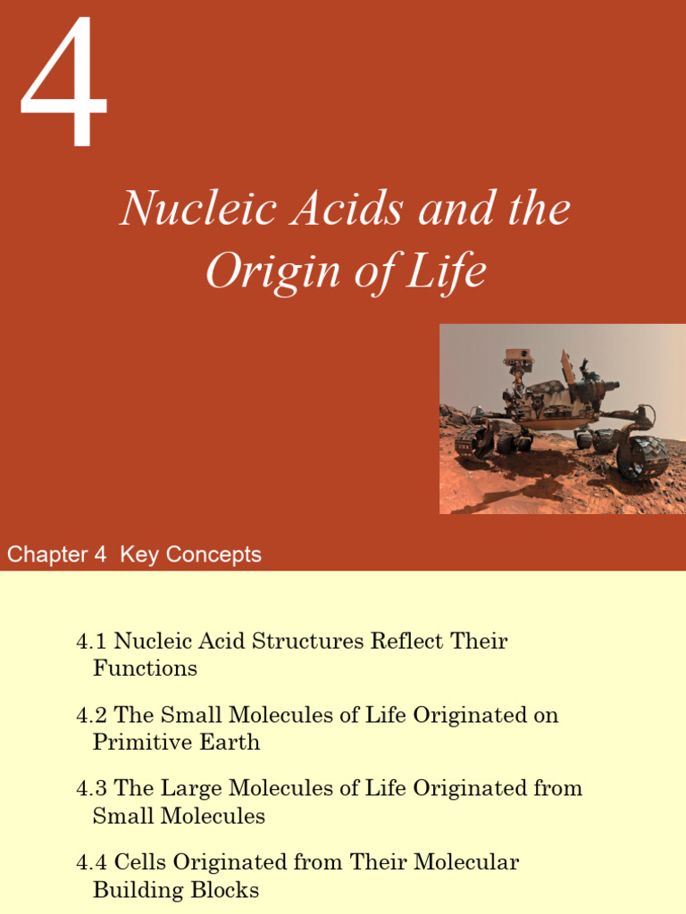 3-Nucleic Acids and The Origin of Life | PDF | Nucleic Acids | Rna