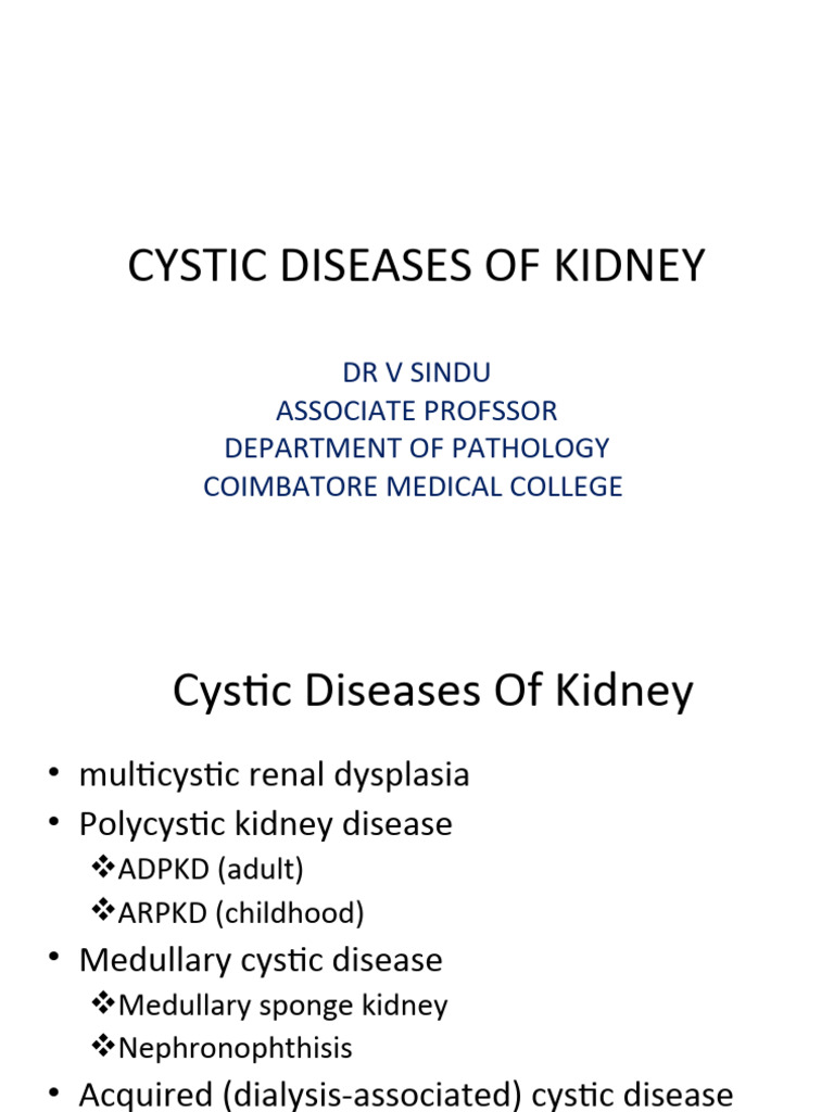 Kidney Cystic Diseases Pdf Kidney Medical Specialties