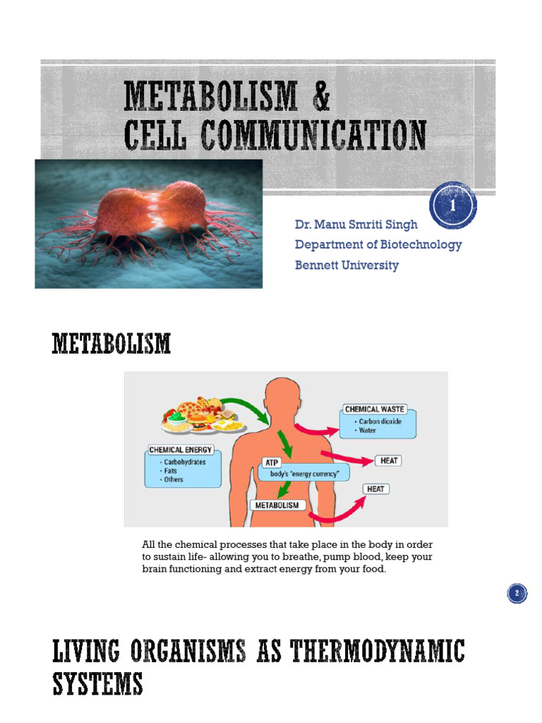 W3 Cell communication | PDF | Cell Signaling | Hormone