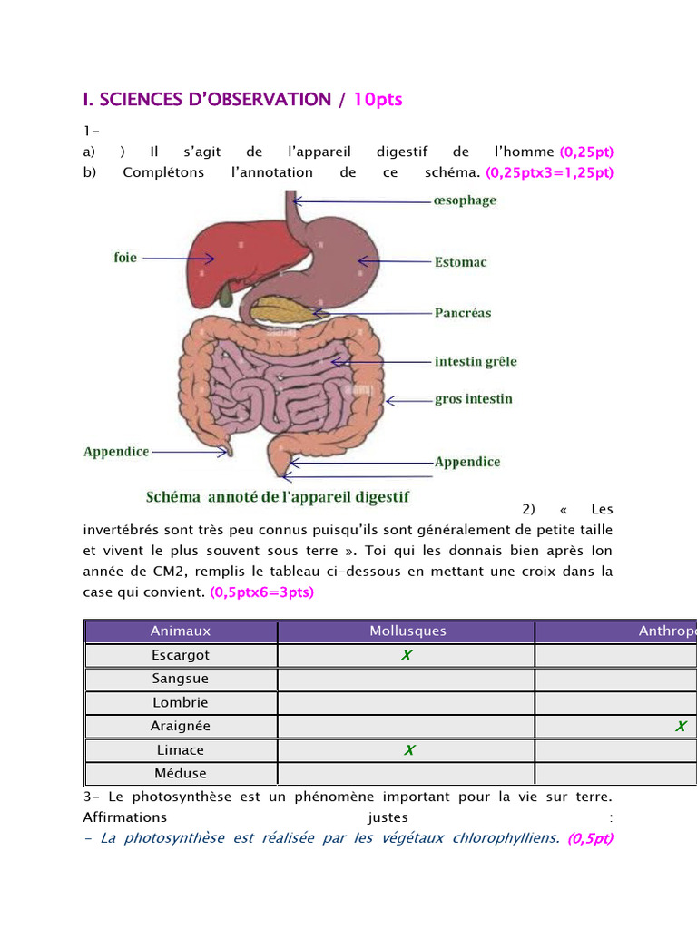 SVT CM2 : Photosynthèse et Séismes | PDF | Électricité | Tremblements ...