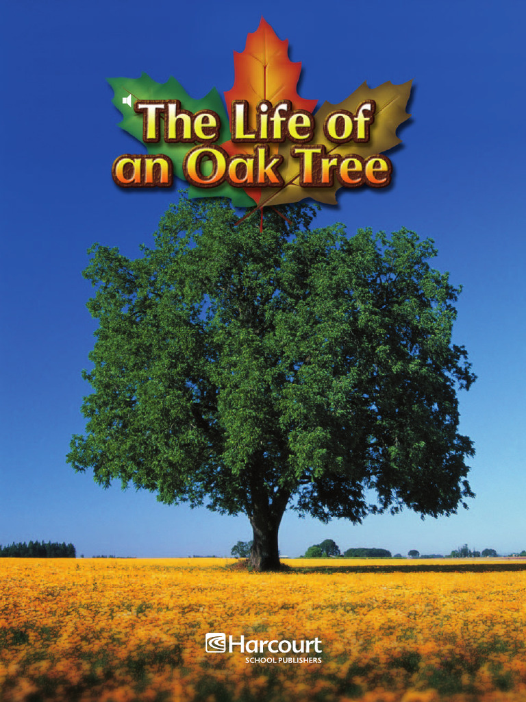 The Life of An Oak Tree | PDF | Root | Leaf