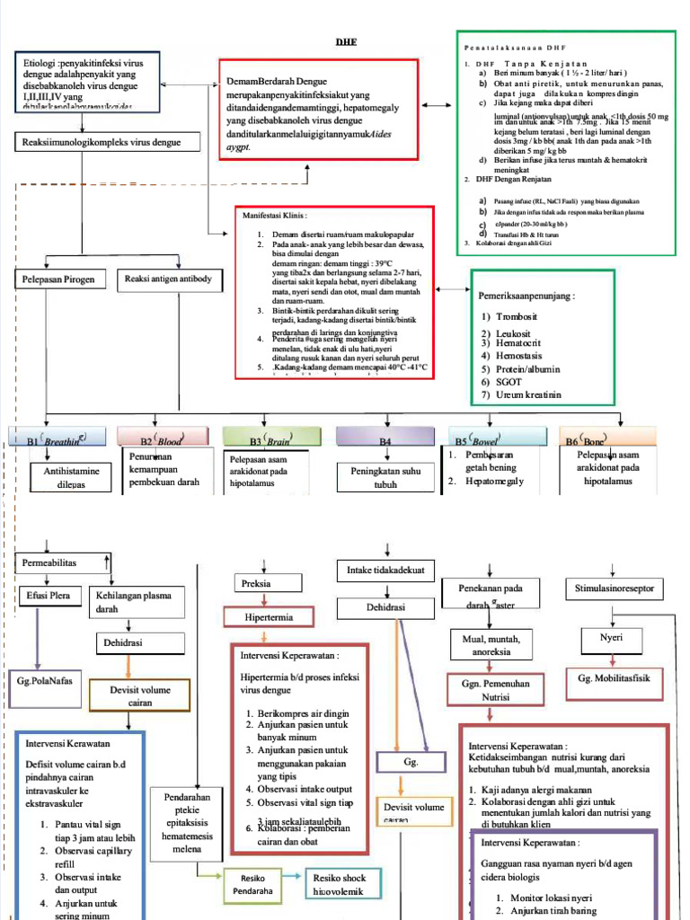 PDF Woc DHF Benar Compress | PDF
