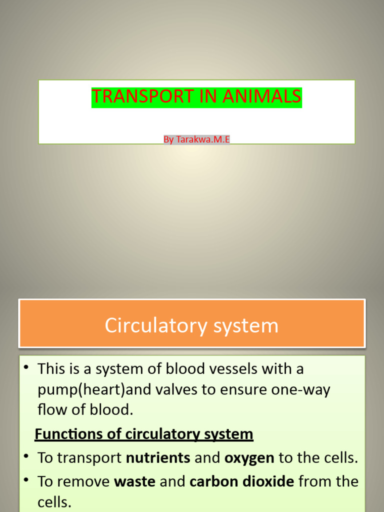 Transport in Animals | PDF | Ventricle (Heart) | Atrium (Heart)