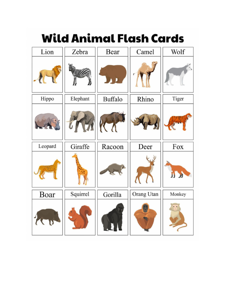 Wild Animals | PDF