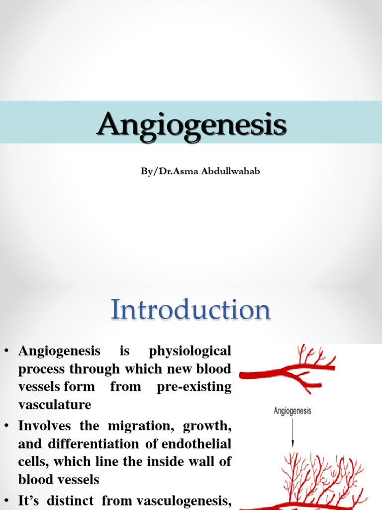 Angiogenesis | PDF | Angiogenesis | Capillary