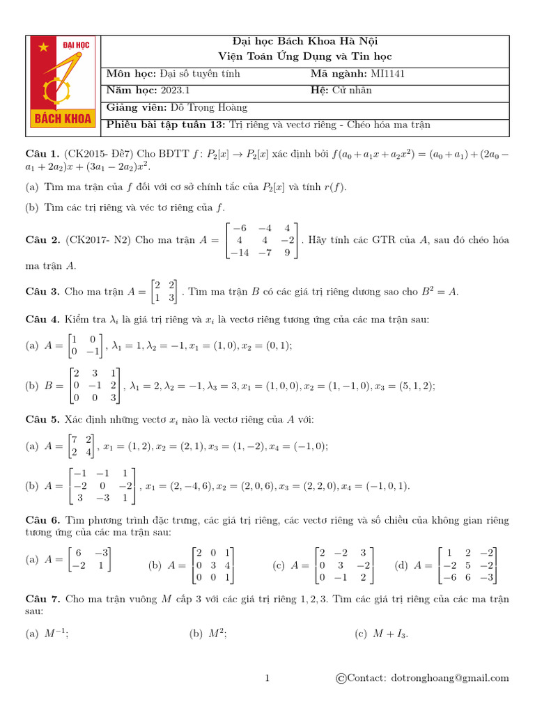 W13 DS Tri Rieng | PDF