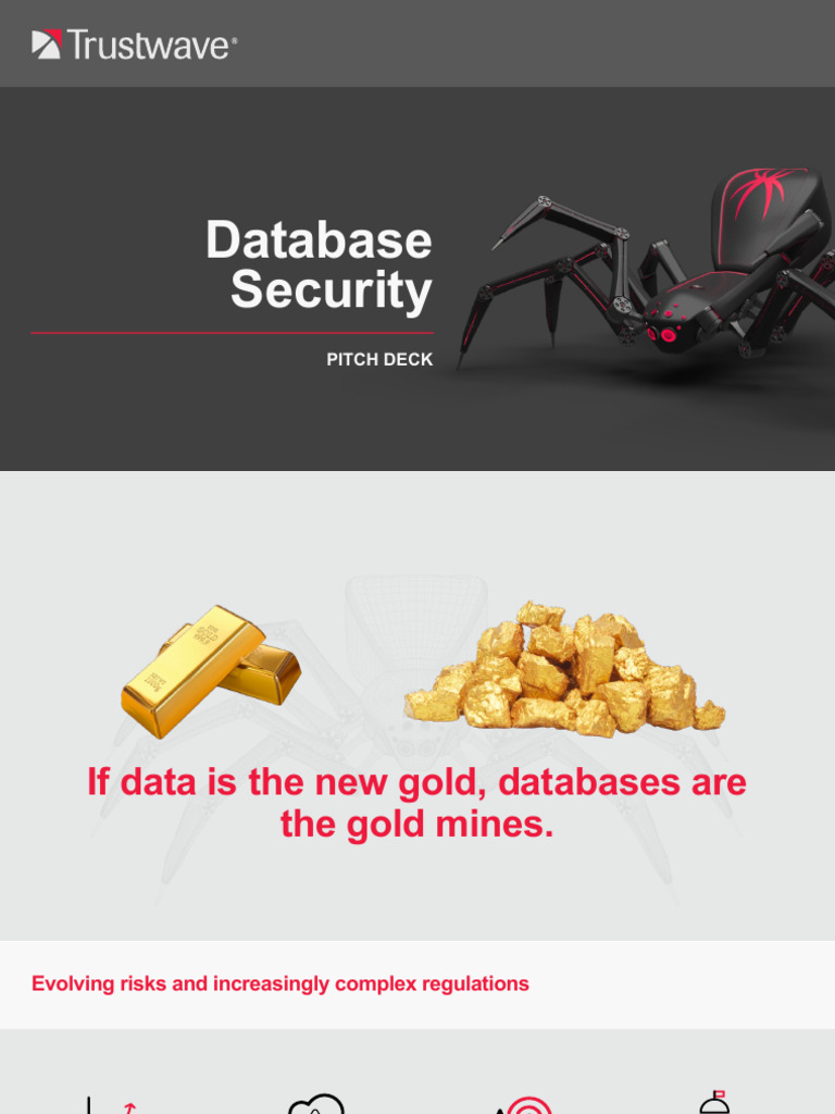 Database Security Pitch Deck v01 | PDF | Security | Computer Security