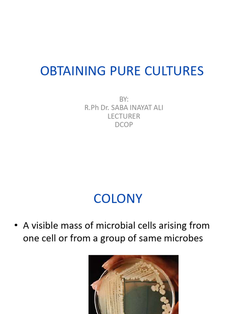 Obtaining Pure Cultures1 | PDF