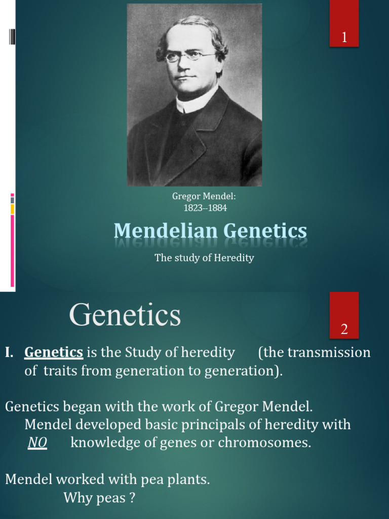 Mendelian and Non Mendelian Genetics | PDF | Dominance (Genetics ...