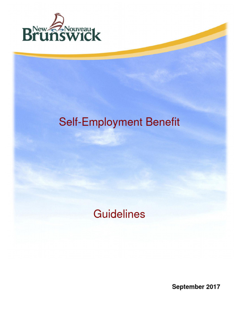 SEB_Guidelines_E | PDF | Business | Economies