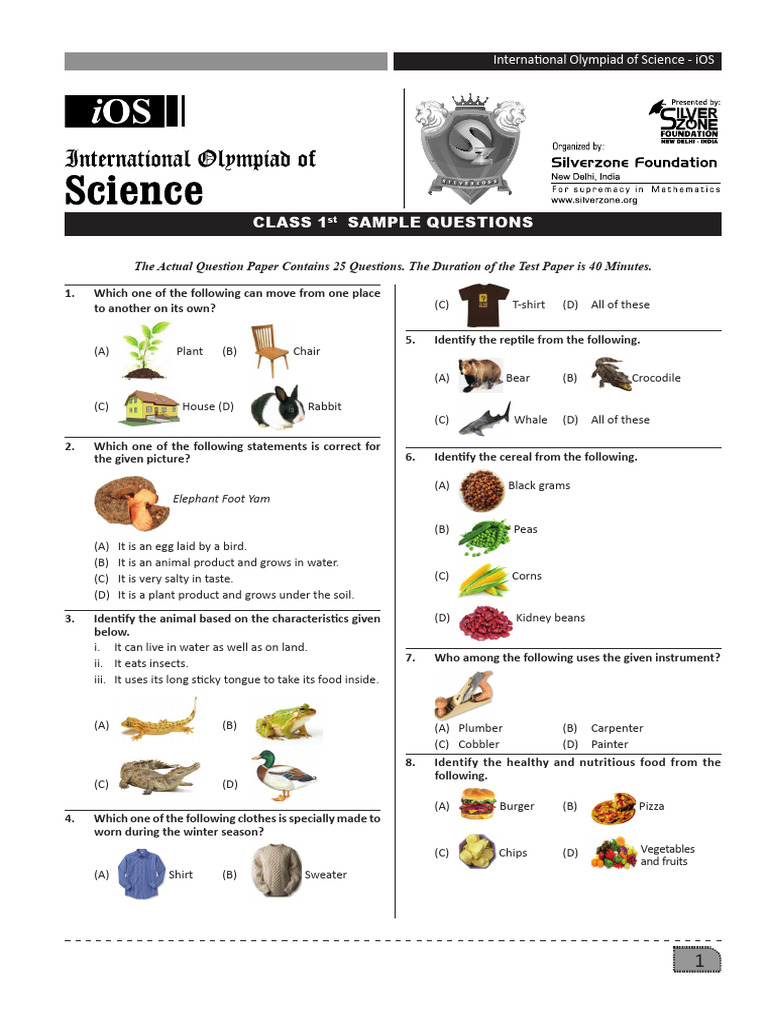 Assets File Syl Sam Papers Ios 1 | PDF | Foods