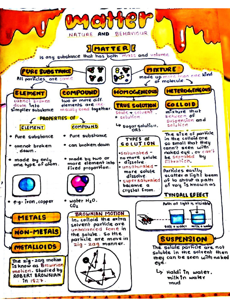 Class9 Chapter2 Mindmap | PDF