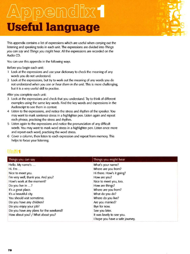 Useful language - REAL 1 | PDF