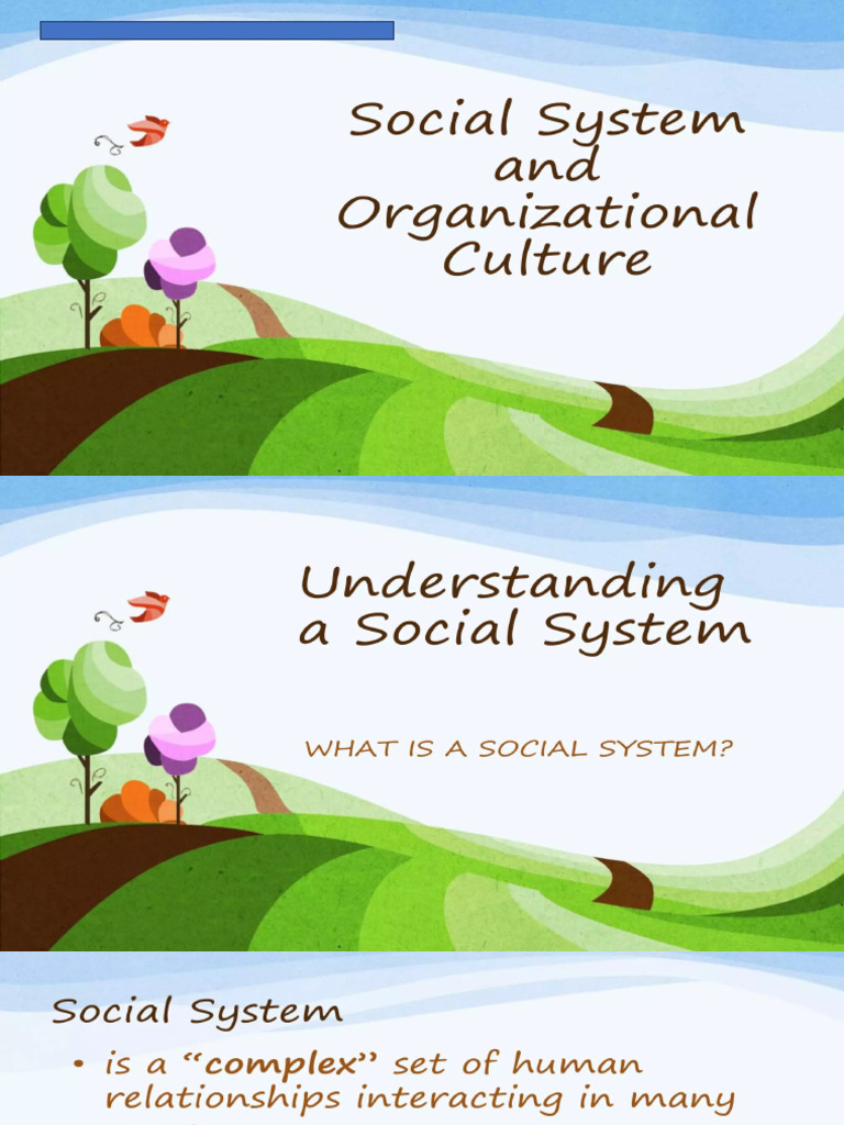 Social System and Organisational Culture | PDF
