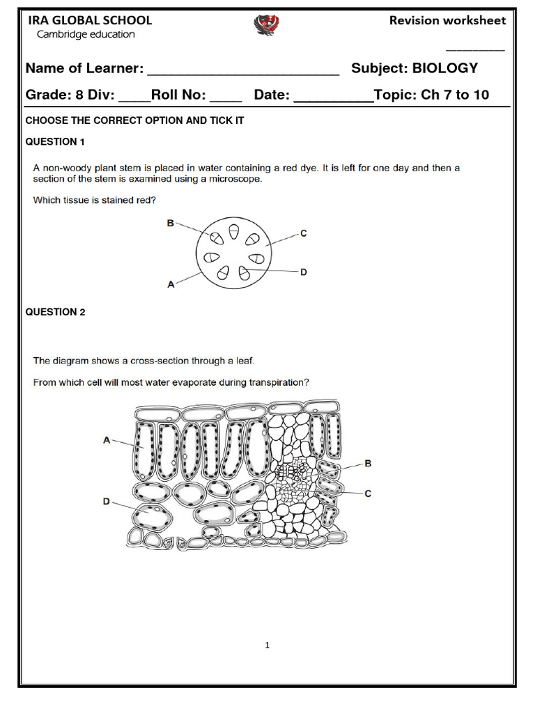 Biology Revision Worksheet | PDF