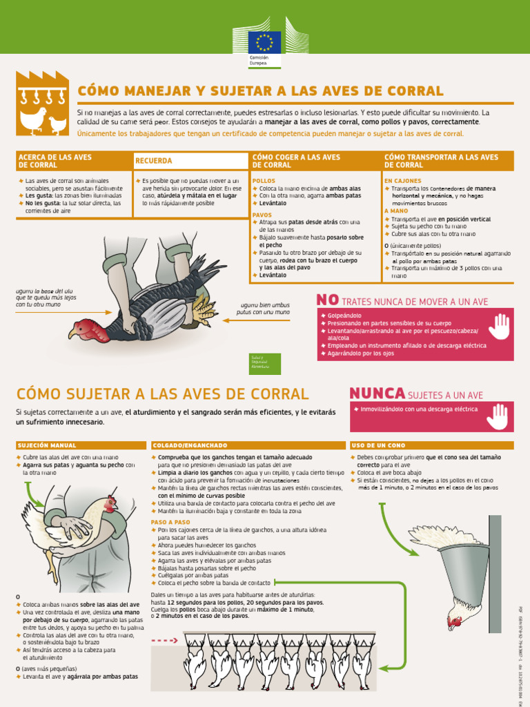 CÓMO MANEJAR Y SUJETAR A LAS AVES DE CORRAL - Es | PDF | Aves | Aves de ...