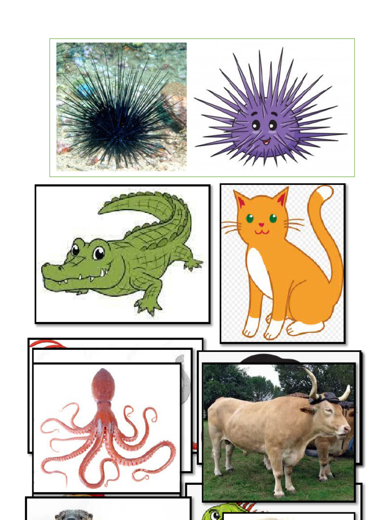 Animals With Vowels | PDF