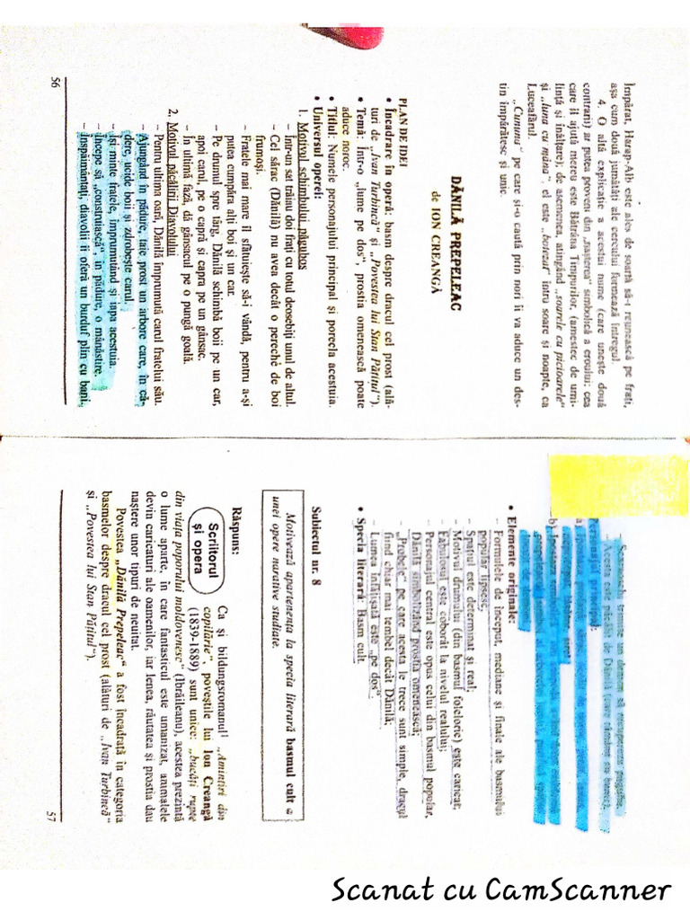 Dănilă Prepeleac | PDF