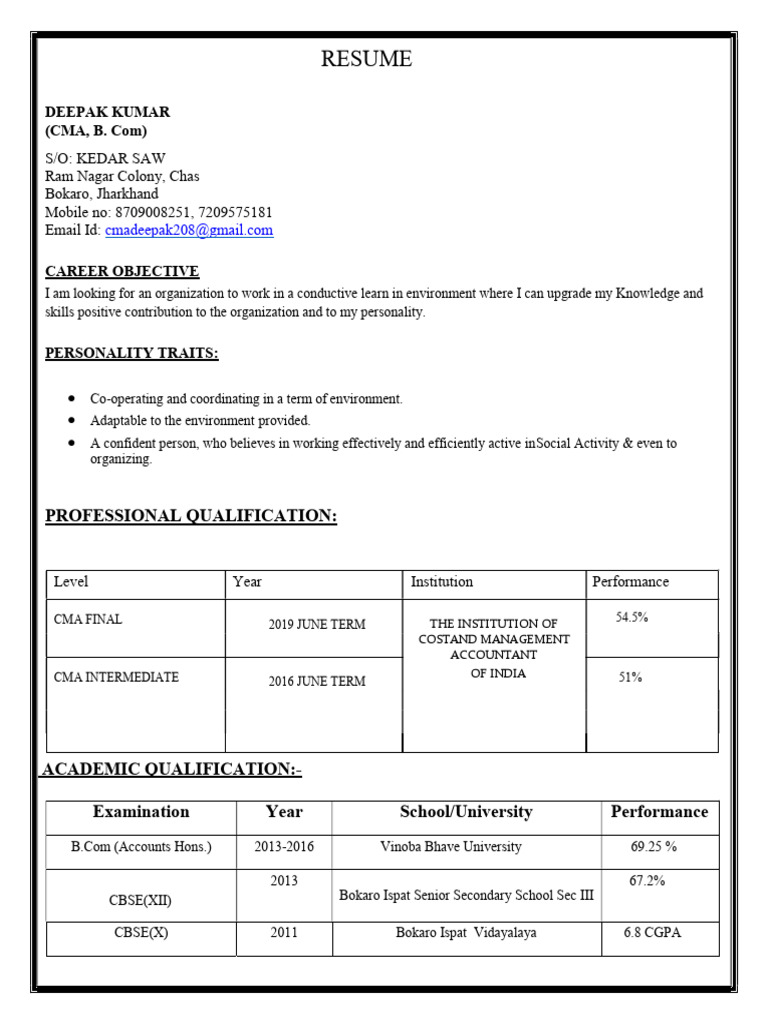 Updated Resume - Deepak Kumar | PDF | Audit