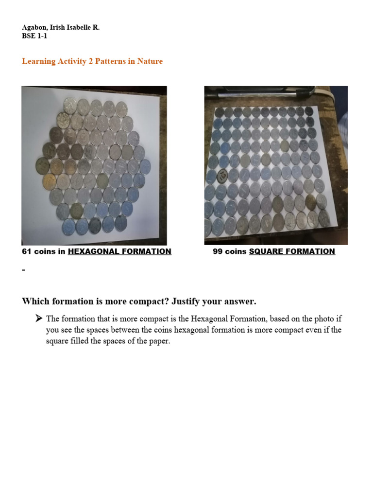 Agabon, Irish Isabelle - Module 1 | PDF | Mathematics | Flowers