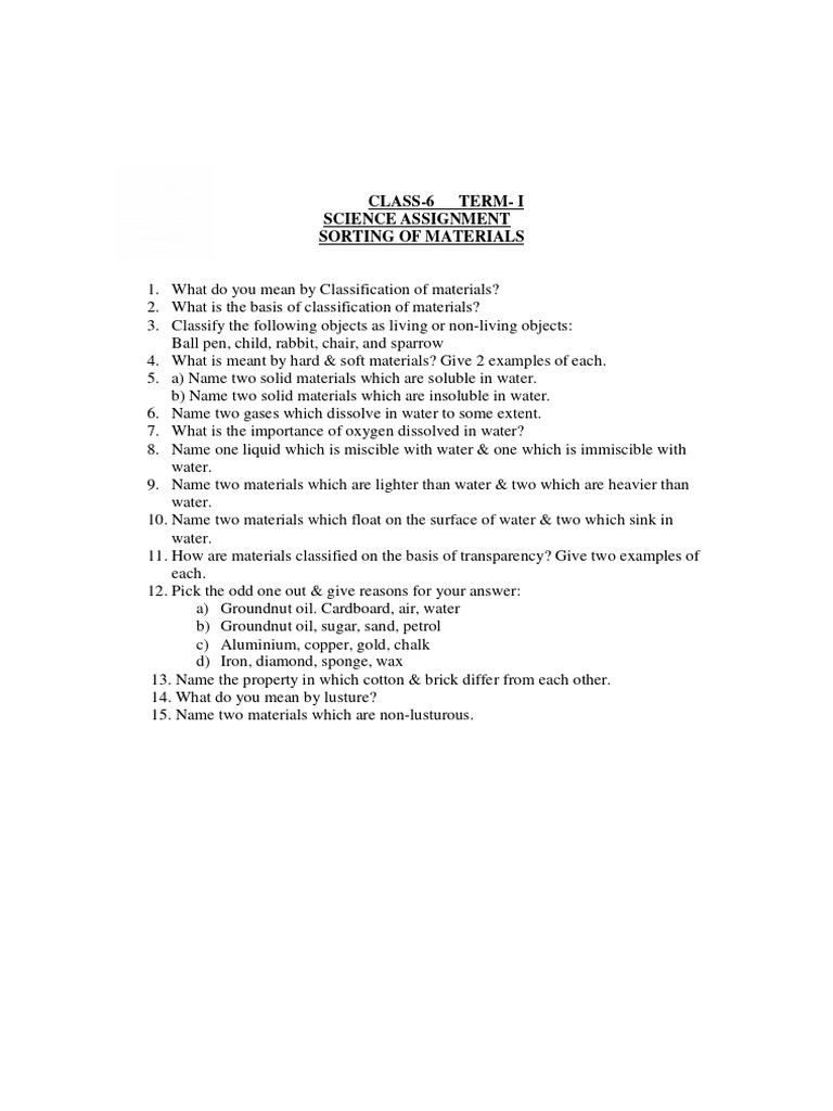 Class 6 Science Assignment: Material Sorting | PDF