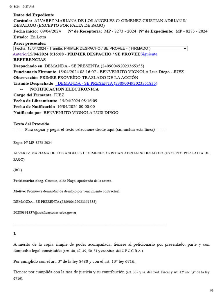 Primer Despacho | PDF