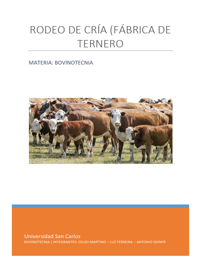 Rodeo de Cria | PDF | Vacas | Destete