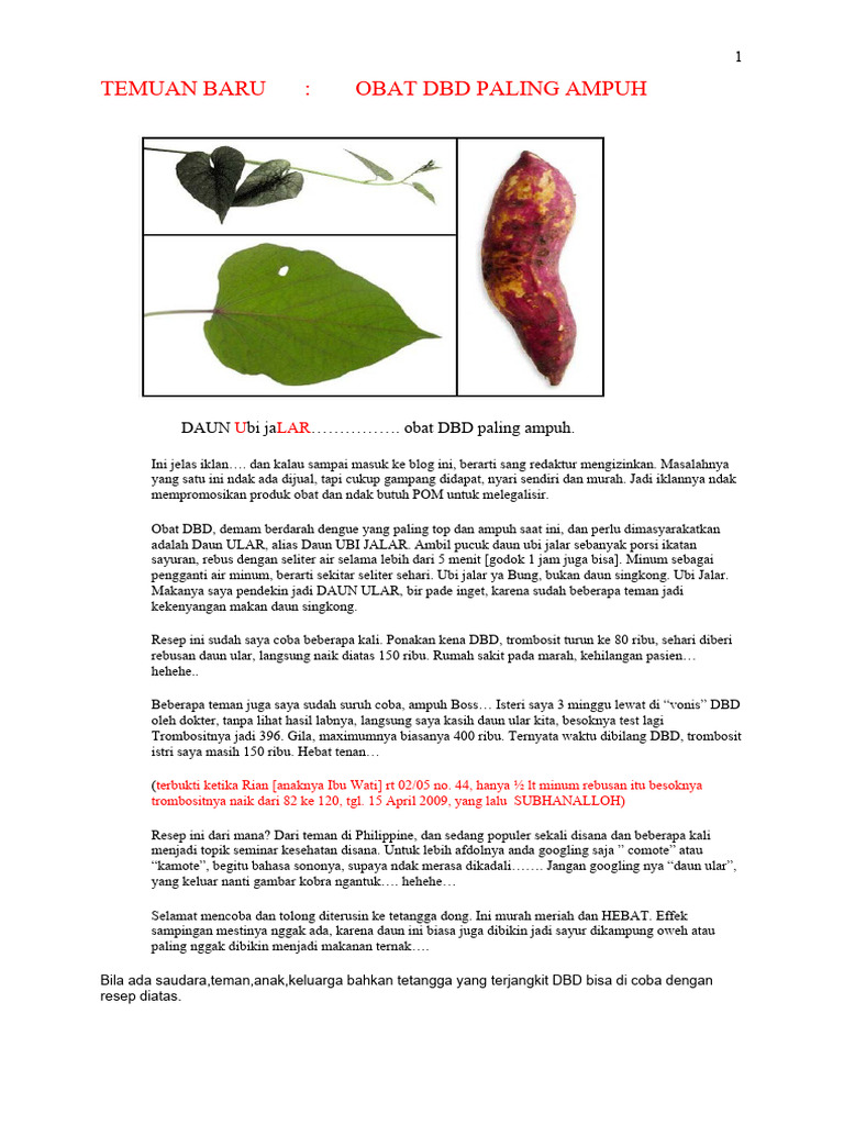 Daun Ubi Jalar | PDF