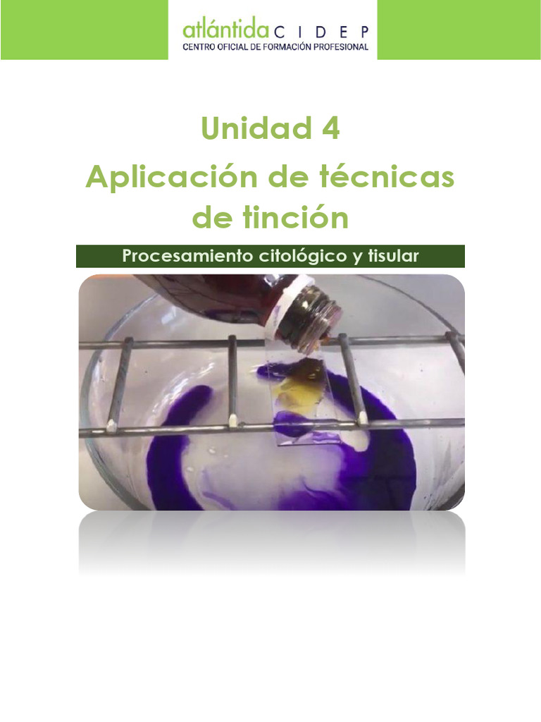 Tema 4 PCT | PDF | Tinción | Bacterias Gram-negativo
