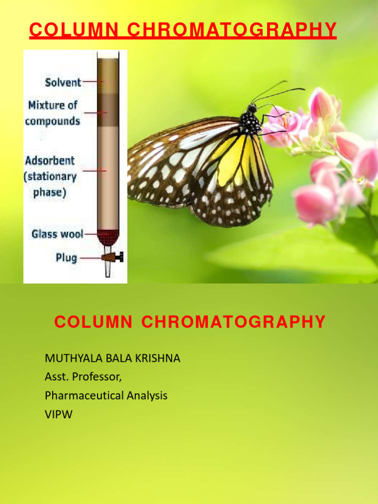 Column Chromatography | PDF | Chromatography | Elution