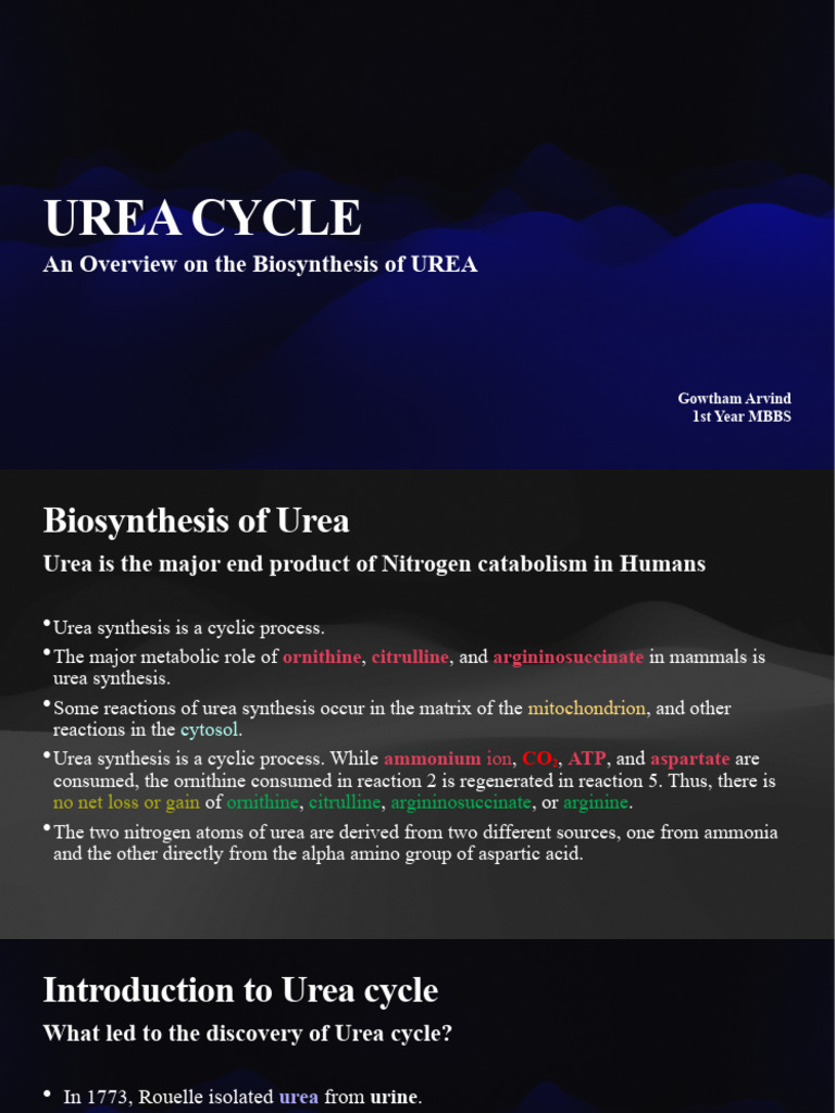 Urea Cycle - Gowtham | PDF | Biosynthesis | Urea