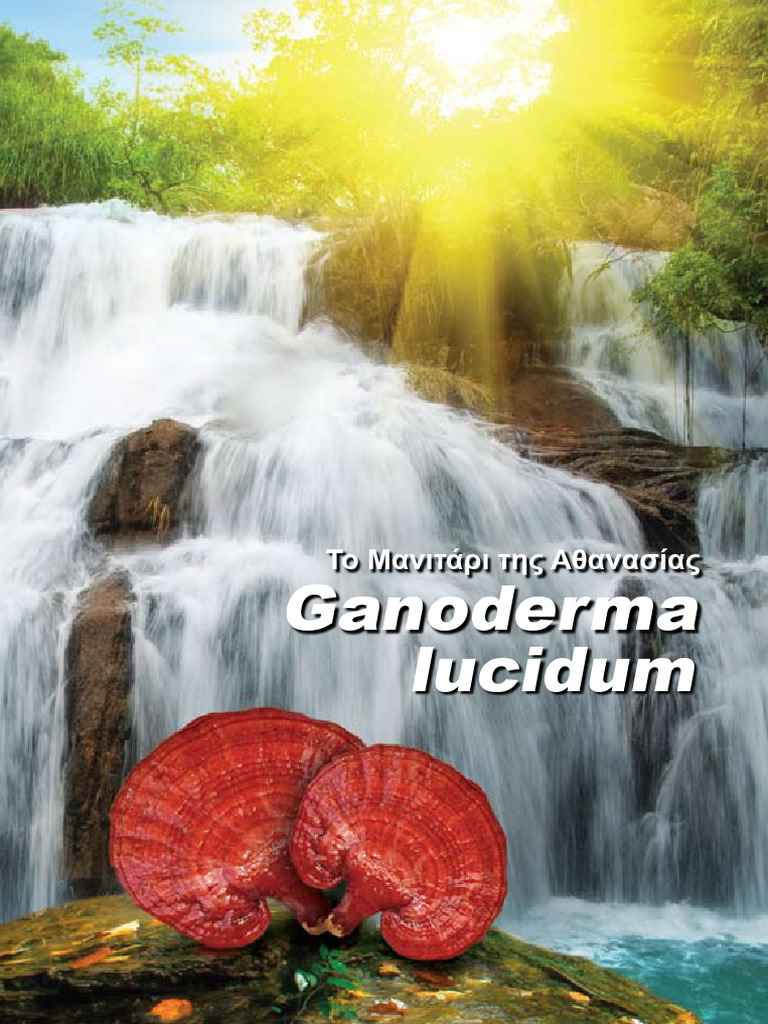 Ganoderma Lucidum Greek | PDF