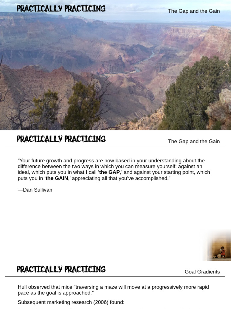 The Gap and The Gain | PDF | Motivational | Motivation