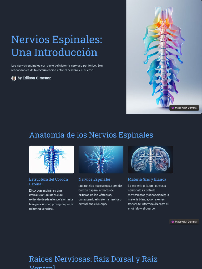 Nervios Espinales Una Introduccion | PDF | Nervio | Sistema nervioso