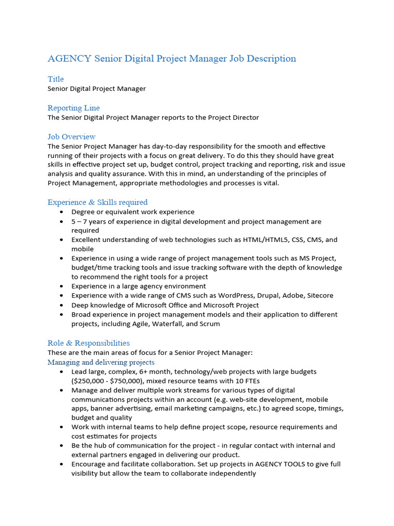 AGENCY Digital Senior Project Manager Job Description | PDF | Project ...