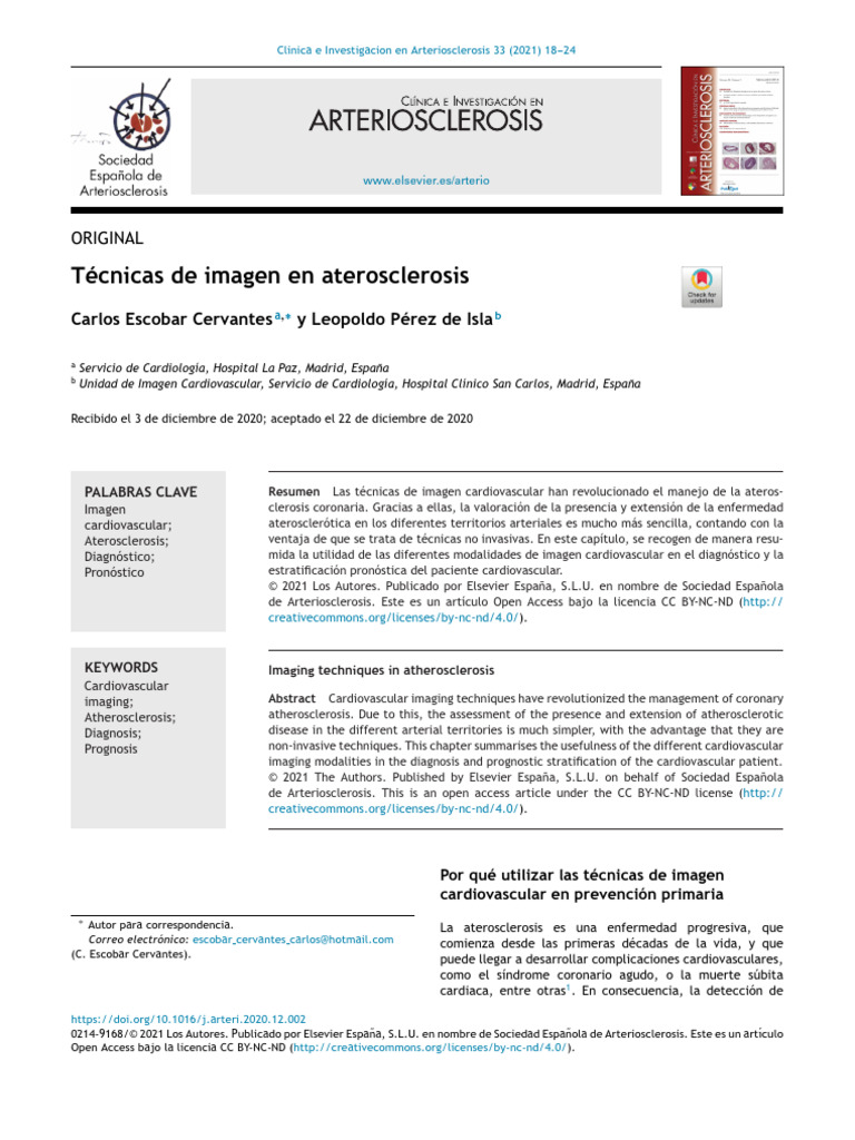 T Cnicas de Imagen en Ateroscler - 2021 - CL Nica e Investigaci N en Arterioscle | PDF ...