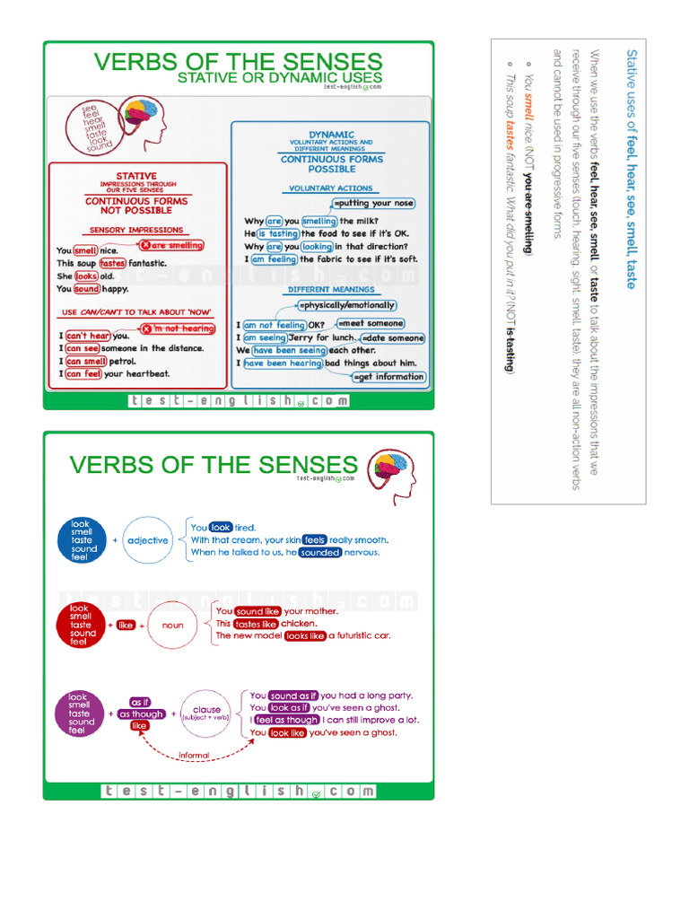Verbs of senses | PDF