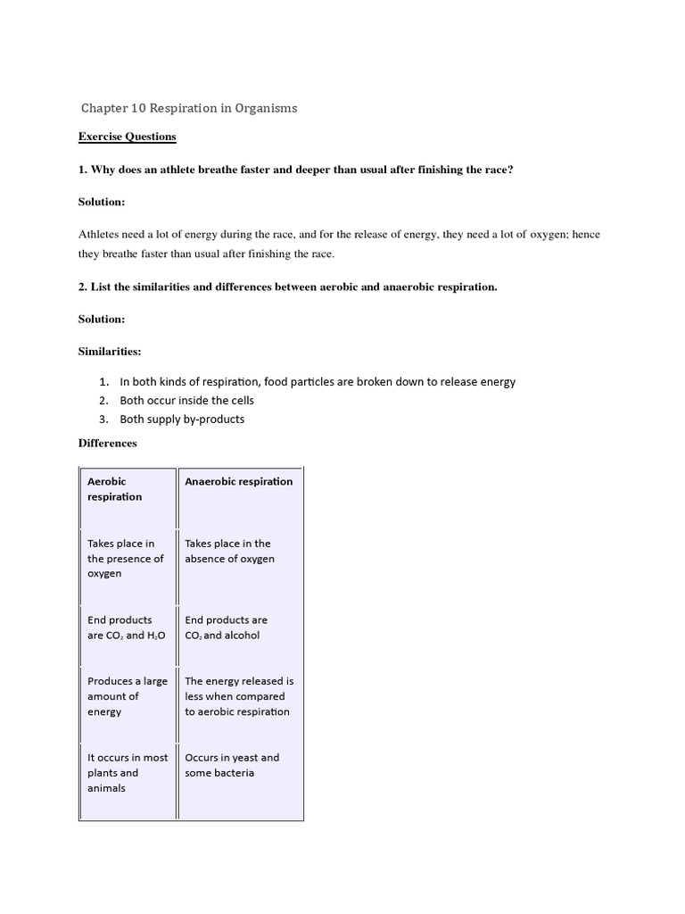 Respiration in Organisms: Key Concepts | PDF | Respiratory System ...