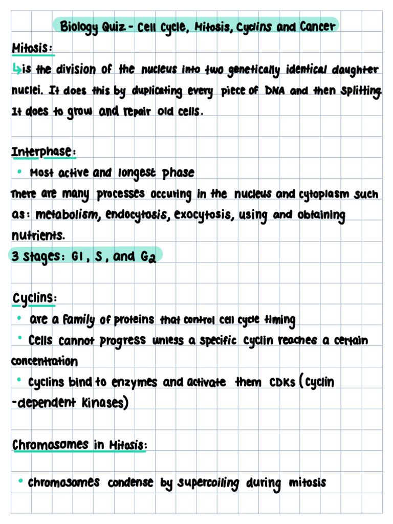Mitosis, Cell Cycle, Cyclins and Cancer | PDF