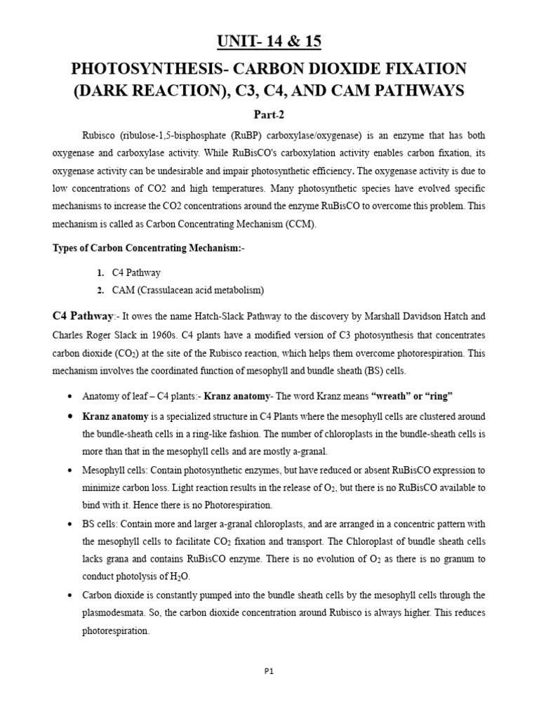 Unit 14 & 15 Part 2 (1) | Download Free PDF | Photosynthesis | Biochemistry