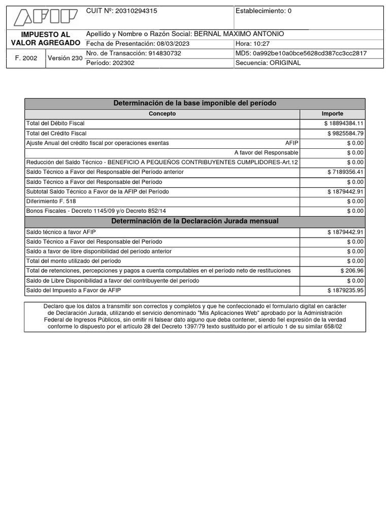 Maxi DDJJ Iva 02 | PDF | Economias | Pagos