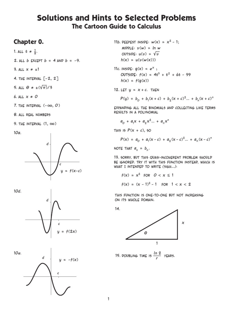 Calculus in Cartoon - Solutions | PDF | Mathematical Relations ...
