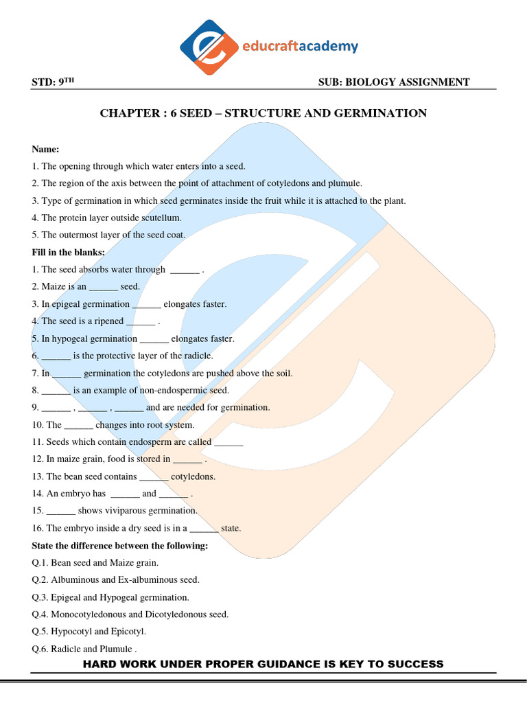 9TH Biology CH-6 Seed - Structure and Germination Assignment | PDF | Seed | Germination