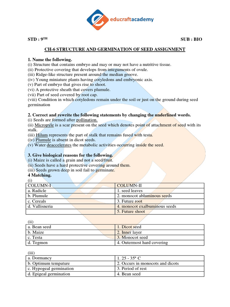 9th Grade Biology: Seed Structure | PDF | Seed | Germination